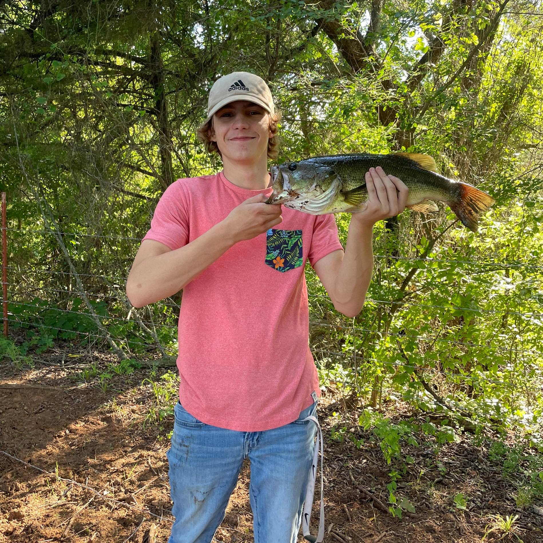 Navy Sailor Identified in Fatal Waukegan Fence Crash - Best Lagos Nigeria